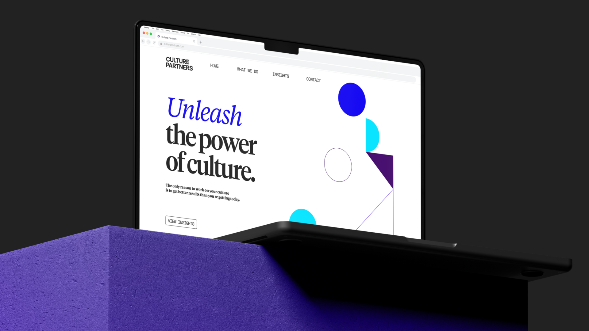 Culture Partners | Grizzly™